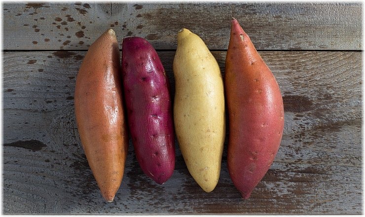 Γλυκοπατάτα: Η πιο... παρεξηγημένη υπερτροφή | Sofokleousin.gr