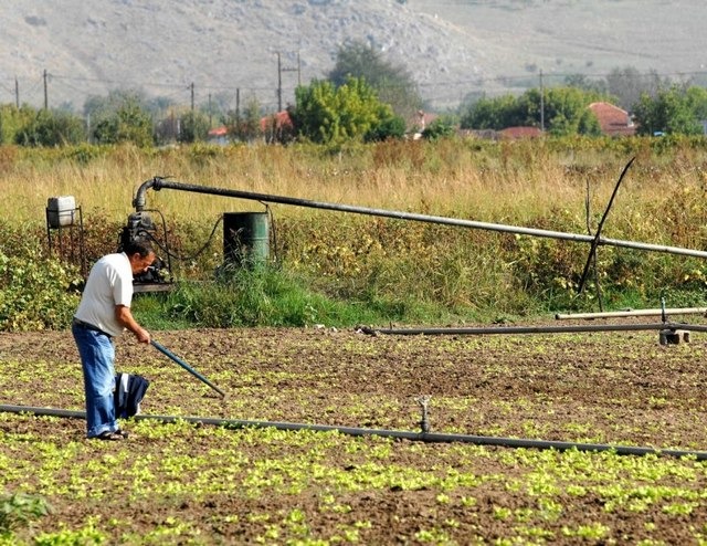 Tα νέα δεδομένα στη γεωργία ακριβείας | Sofokleousin.gr